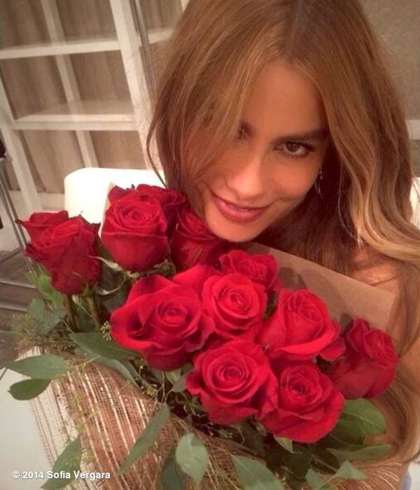 Sofia Vergara's relationship with Joe Manganiello 'couldn't be better ...