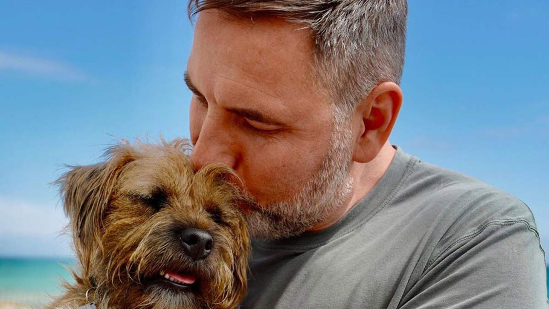 David Walliams shares update on pet dog following operation | HELLO!