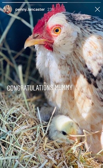 Penny Lancaster reveals reveals cute new family addition – see photo ...