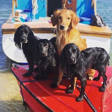 James Middleton and his adorable dogs make hilarious social media ...