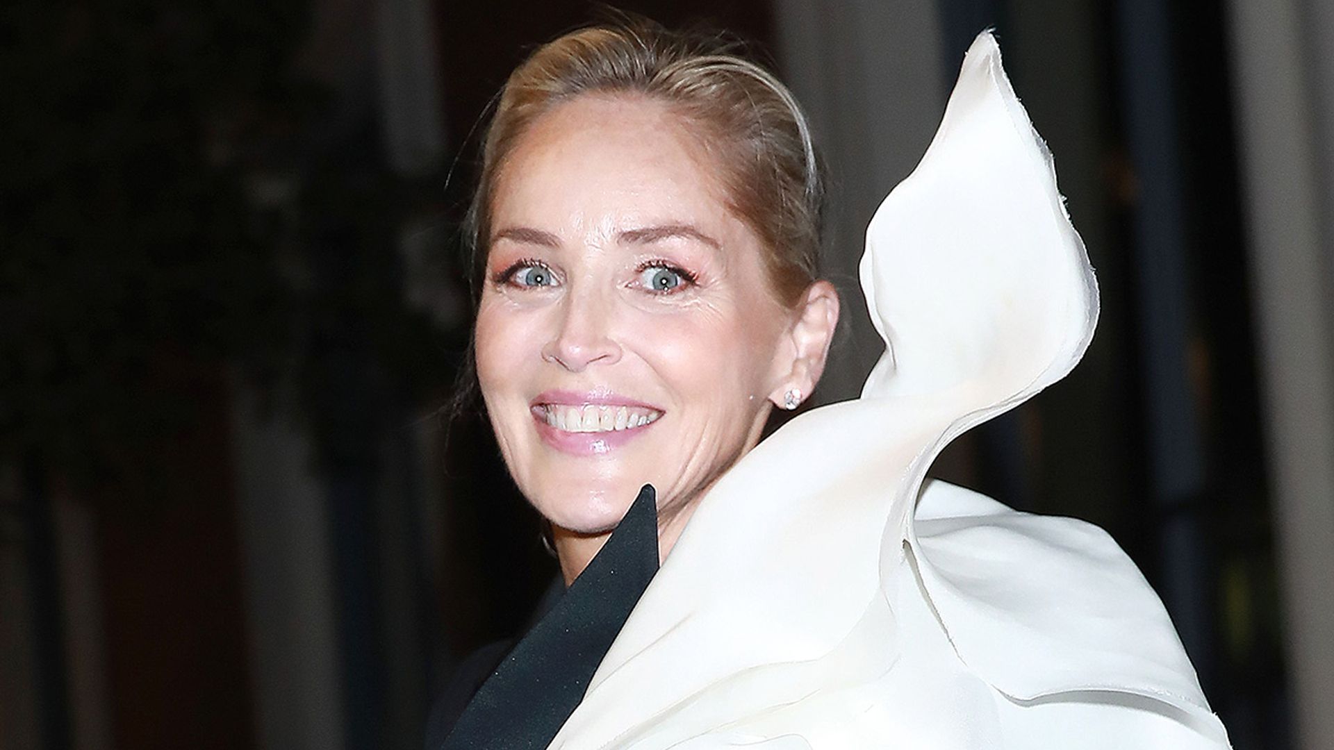 Sharon Stone delights fans with exciting announcement | HELLO!