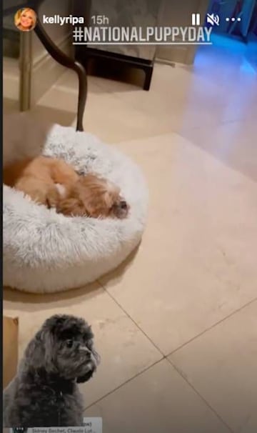 Kelly Ripa shares adorable new video inside family home during time off ...