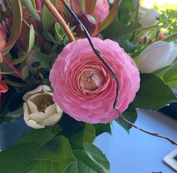 GMA's Lara Spencer divides fans with latest post | HELLO!