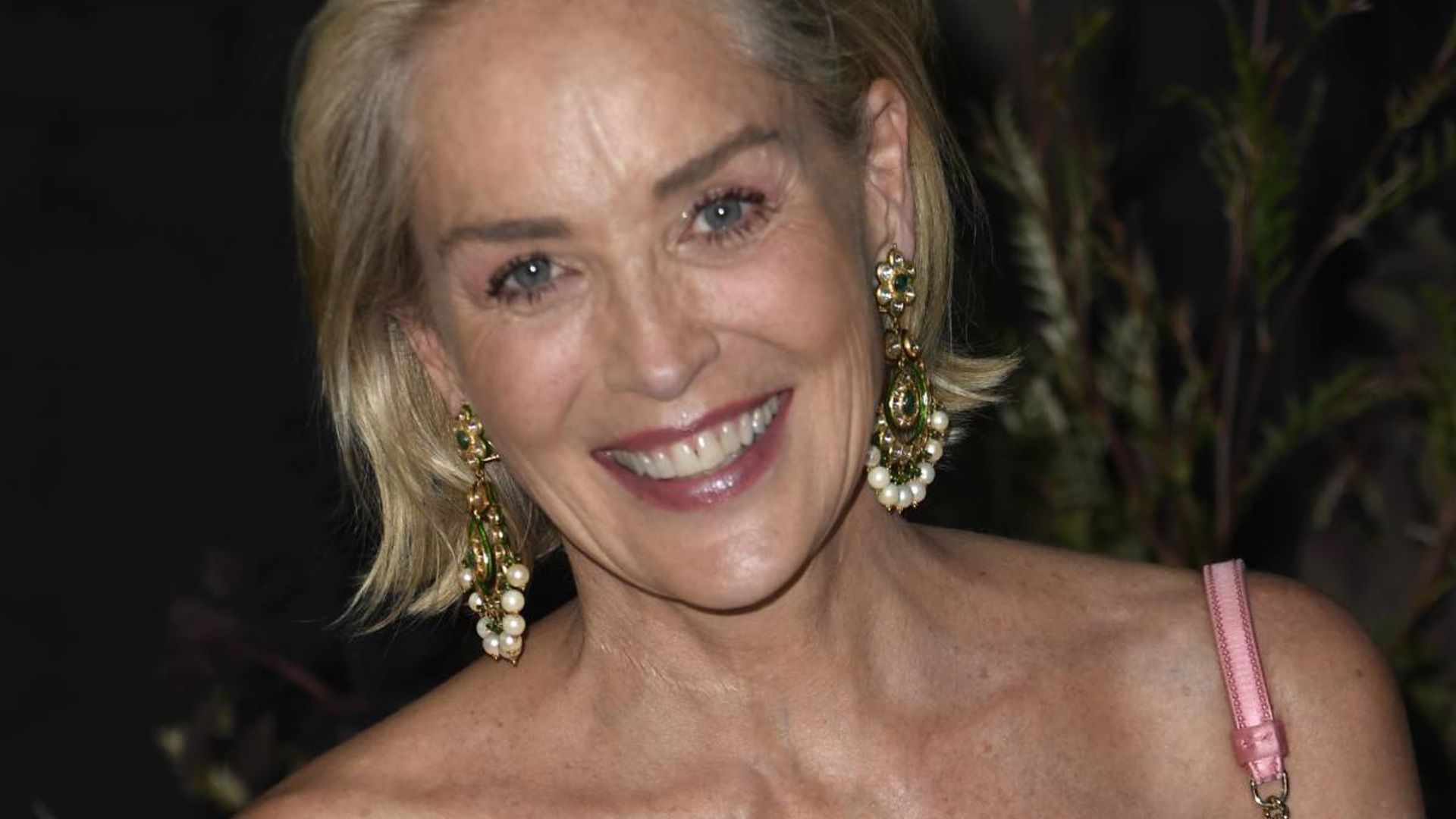 Sharon Stone wows in black swimsuit in poolside photo to announce ...