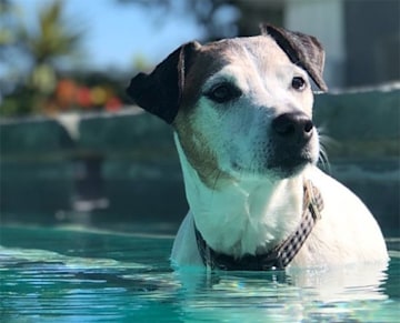 Rob Lowe shares heartbreaking family news - famous friends reach out ...