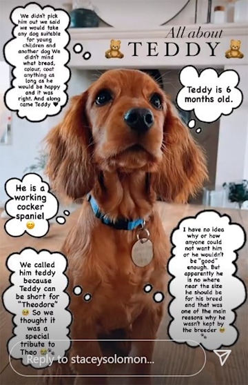 Stacey Solomon reveals the REAL meaning behind her puppy's name | HELLO!