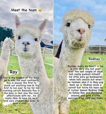 Mrs Hinch welcomes three 'beautiful boys' to her family – fans go wild ...