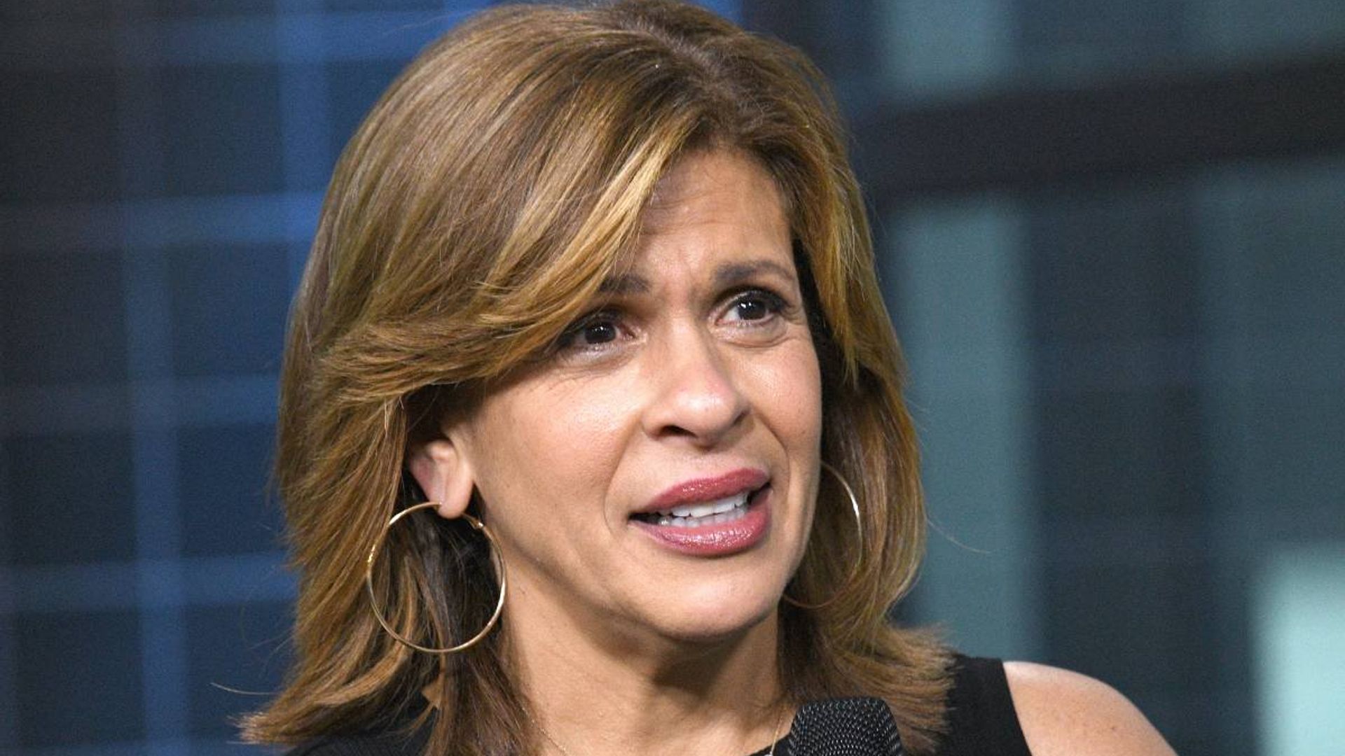 Hoda Kotb reveals true feelings for Today co-star during time apart in ...