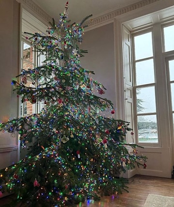 Jamie Oliver's wife Jools shares intimate glimpse inside festive home ...