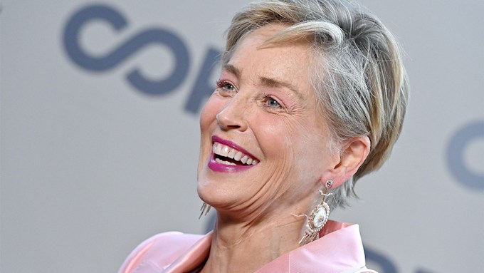 Sharon Stone delights fans with unexpected baby photo that gets fans ...