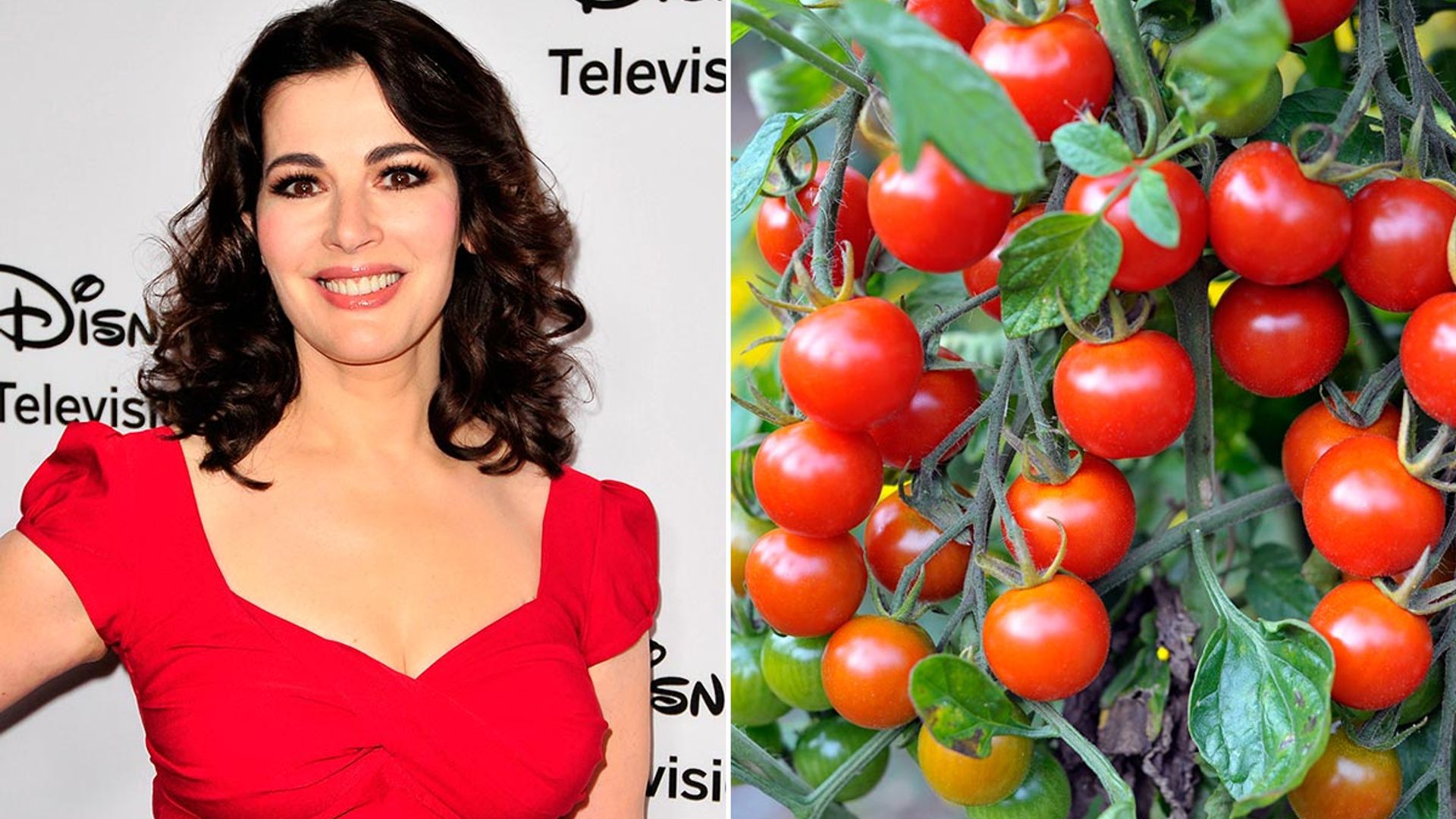 Nigella Lawson wows fans with her amazing tomato hack | HELLO!