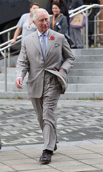 Cheryl wows in show-stopping dress & knee-high boots for Prince Charles ...