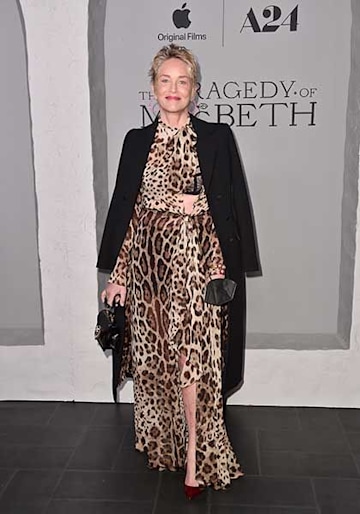 Sharon Stone, 63, poses in slinky figure-hugging dress that sparks ...
