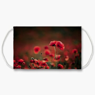 Poppy face masks to wear on Remembrance Sunday | HELLO!