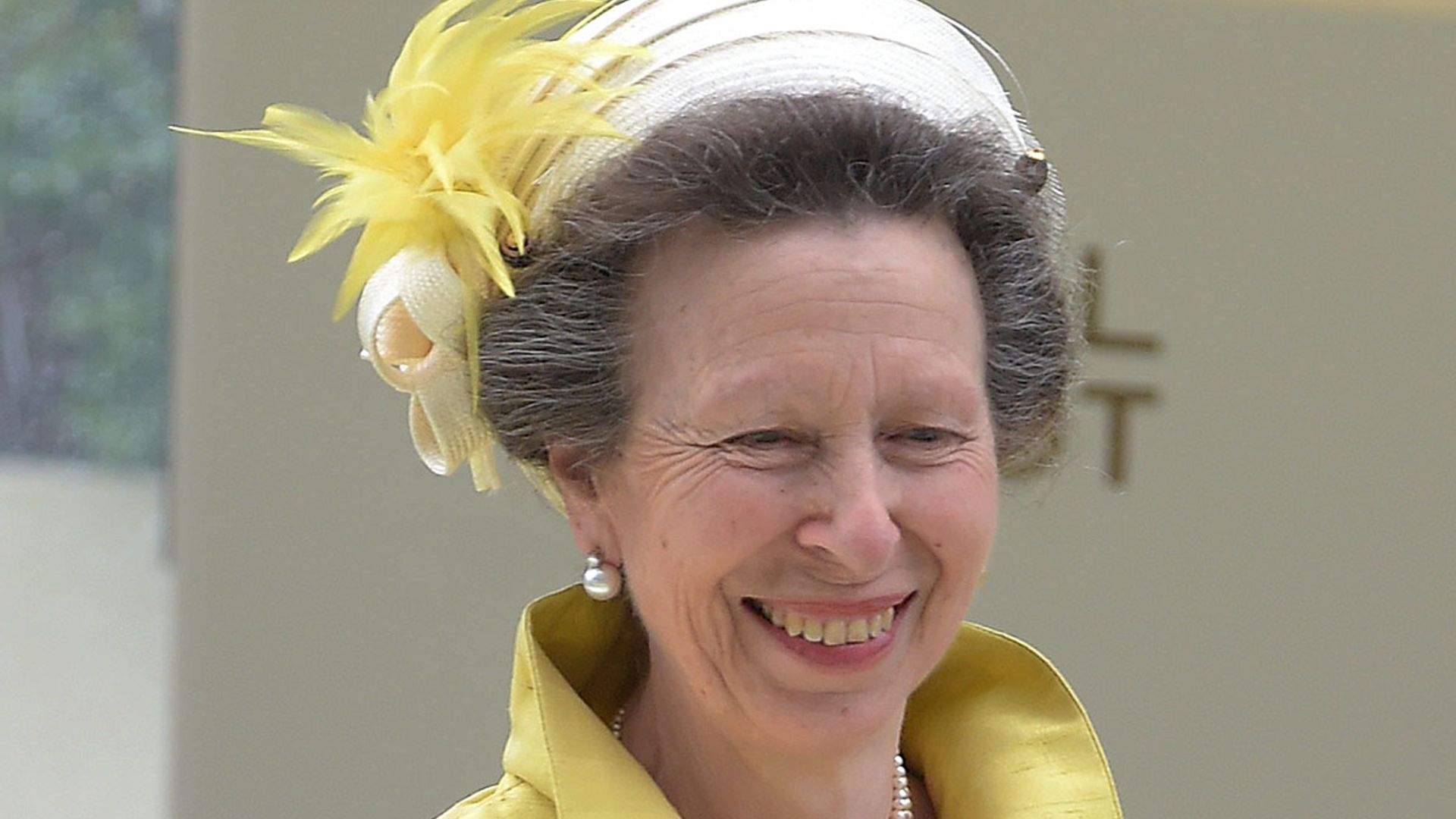 Princess Anne's quirky new accessory has a special meaning – details ...