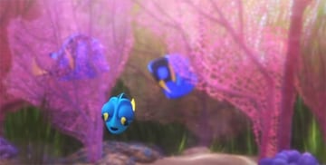 This video of Baby Dory is melting our hearts | HELLO!