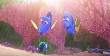 This video of Baby Dory is melting our hearts | HELLO!