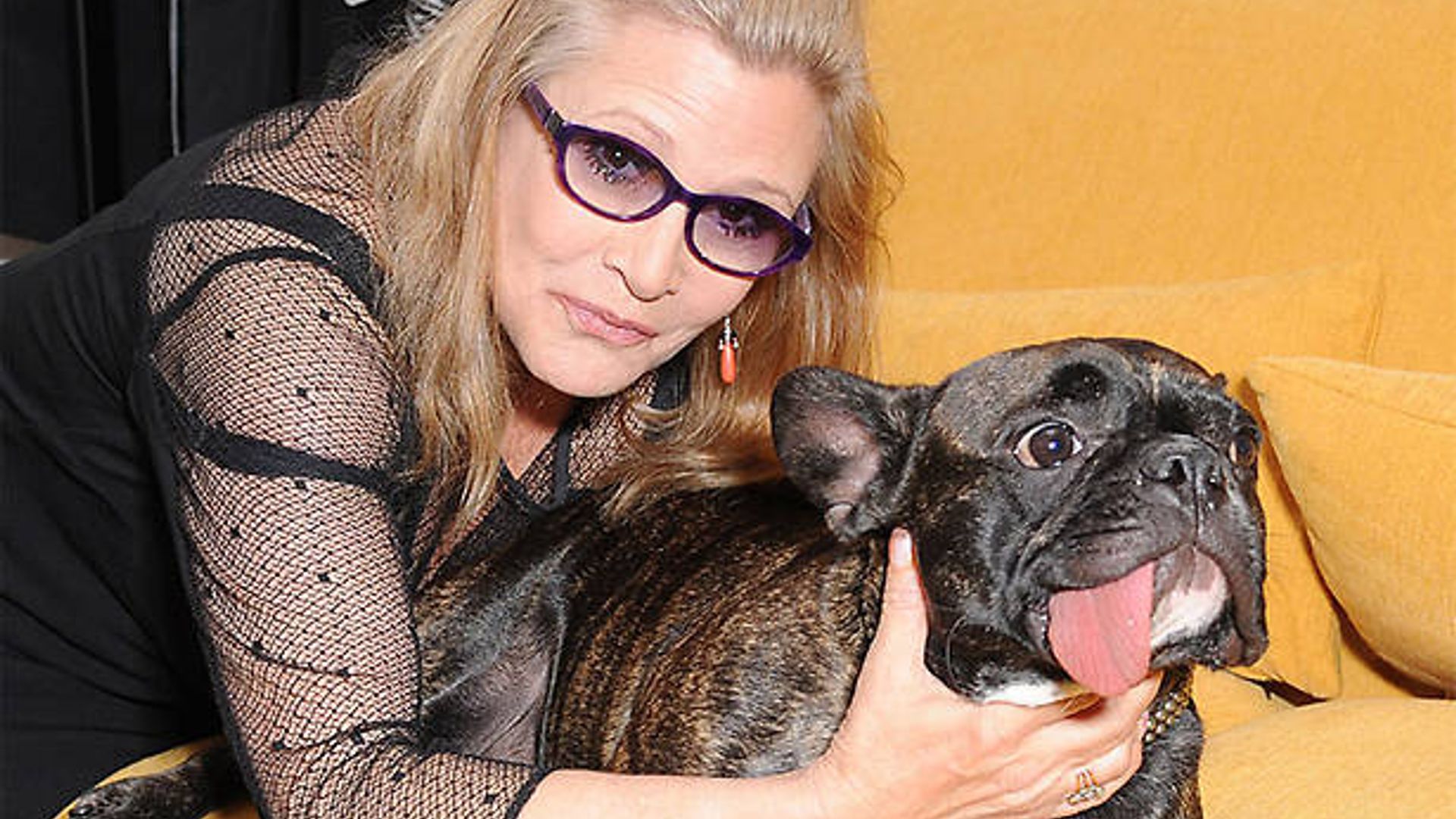 Carrie Fisher's dog Gary snapped watching Star Wars: The Last Jedi ...