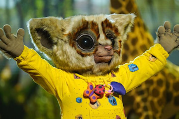 The Masked Singer Theories: who is Sausage, Bush Baby, Robin and Badger ...