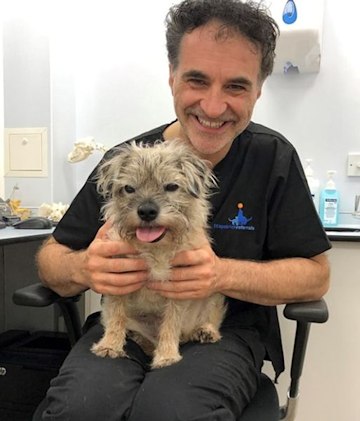 The Supervet: Everything you need to know about Noel Fitzpatrick | HELLO!