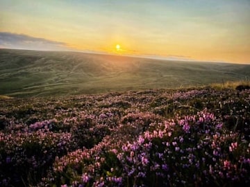 Our Yorkshire Farm star Amanda Owen shares 'stunning' tribute to the ...