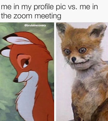 The funny lockdown-related memes to keep you entertained while in self ...