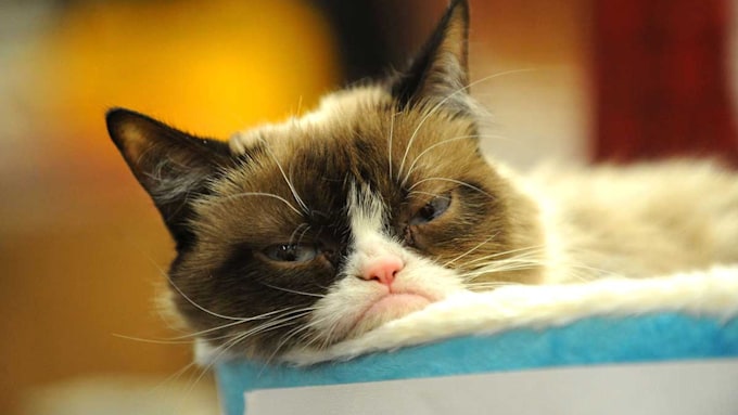 How to beat Blue Monday: 16 easy ways to boost your mood this January ...