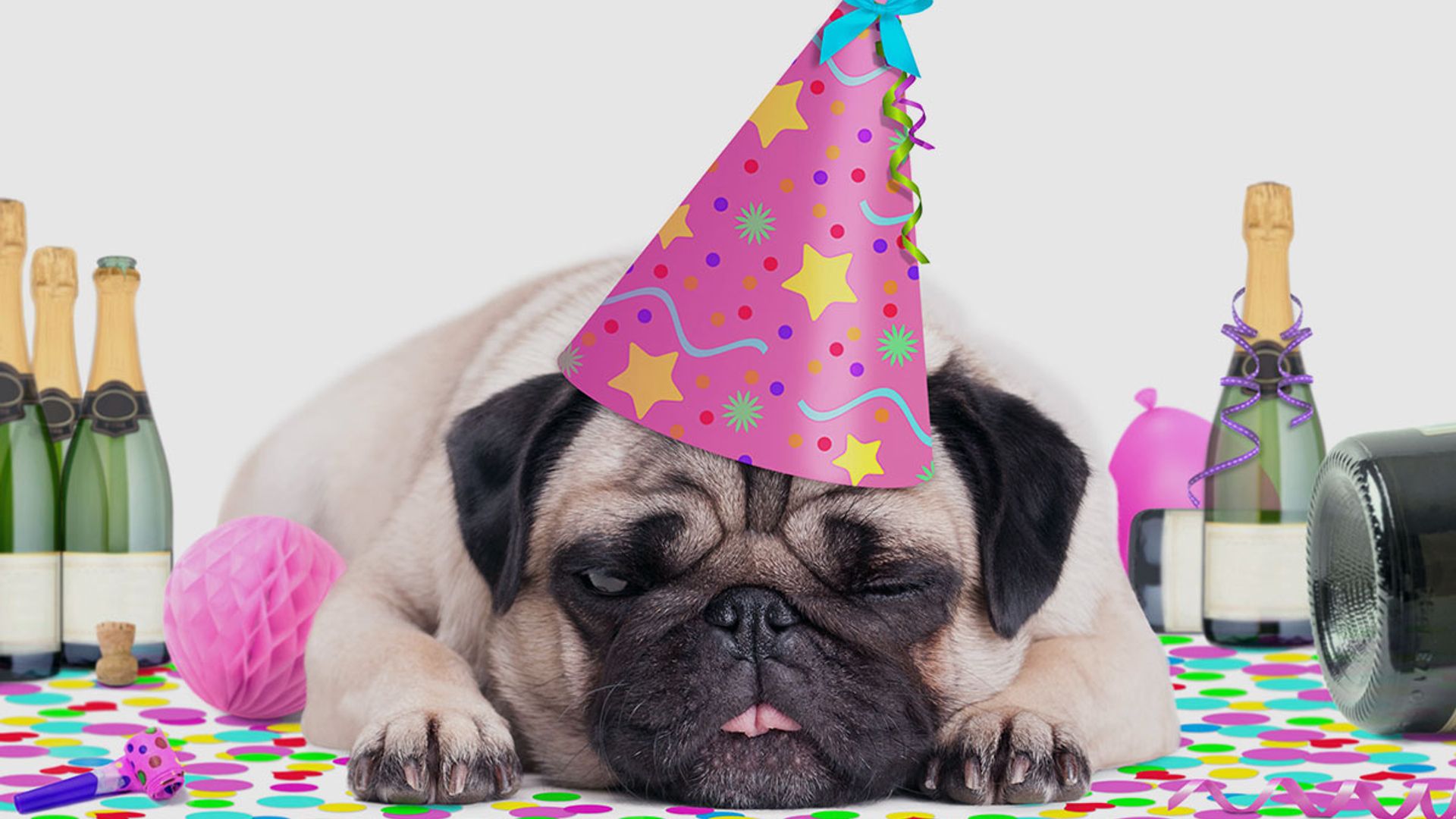 How to cure a hangover FAST – and best prevention methods | HELLO!