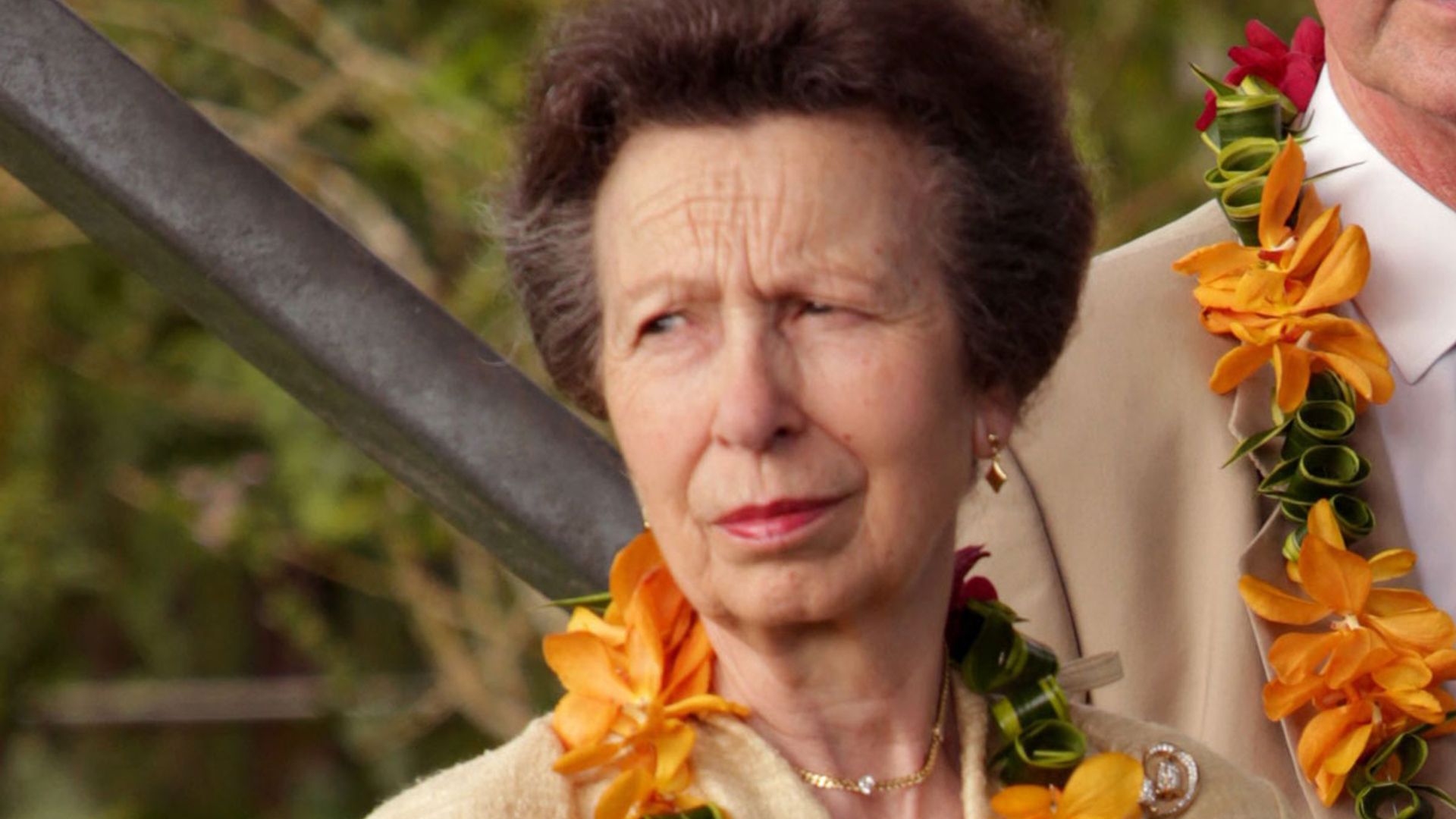 How Princess Anne is supporting the Queen during ill health - revealed ...