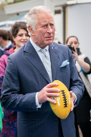 Prince Charles takes up surprising new hobby: 'He got the hang of it ...