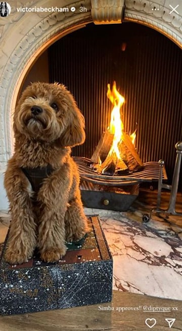 Victoria Beckham's epic advent calendar is really, really not to be ...