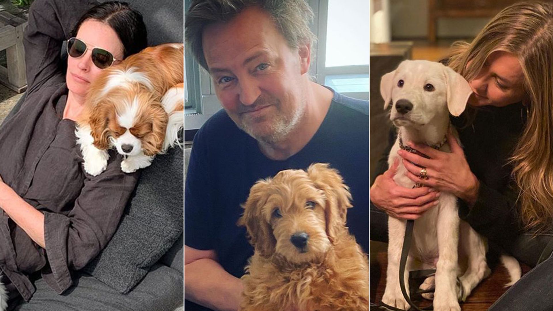 Furry Friends! Jennifer Aniston, Matthew Perry & more's cutest dog ...