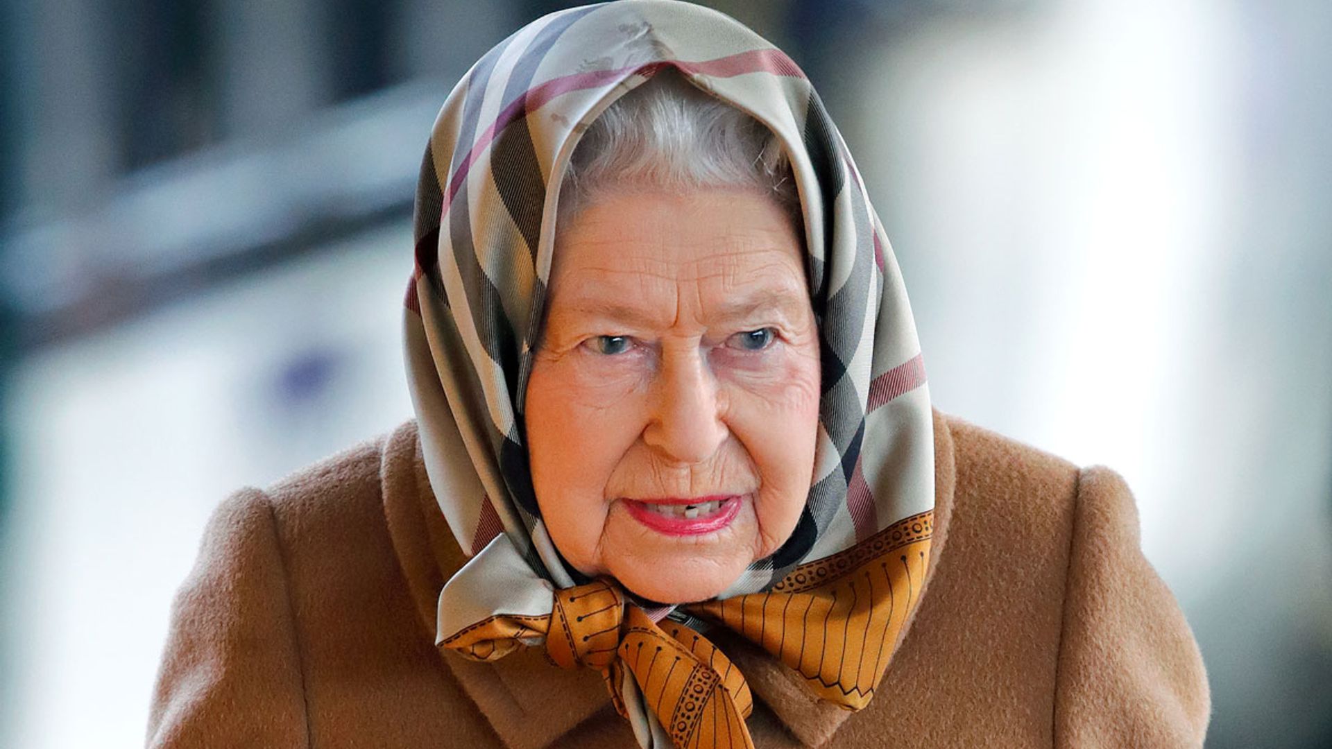 The Queen's new companion to live with her at Windsor Castle | HELLO!