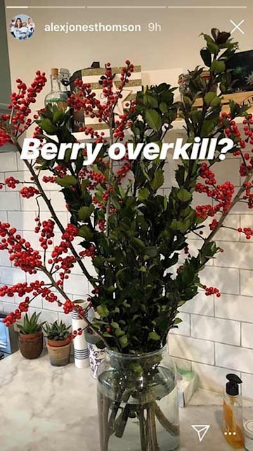 Alex Jones reveals personal photos and home interior in stunning Xmas ...