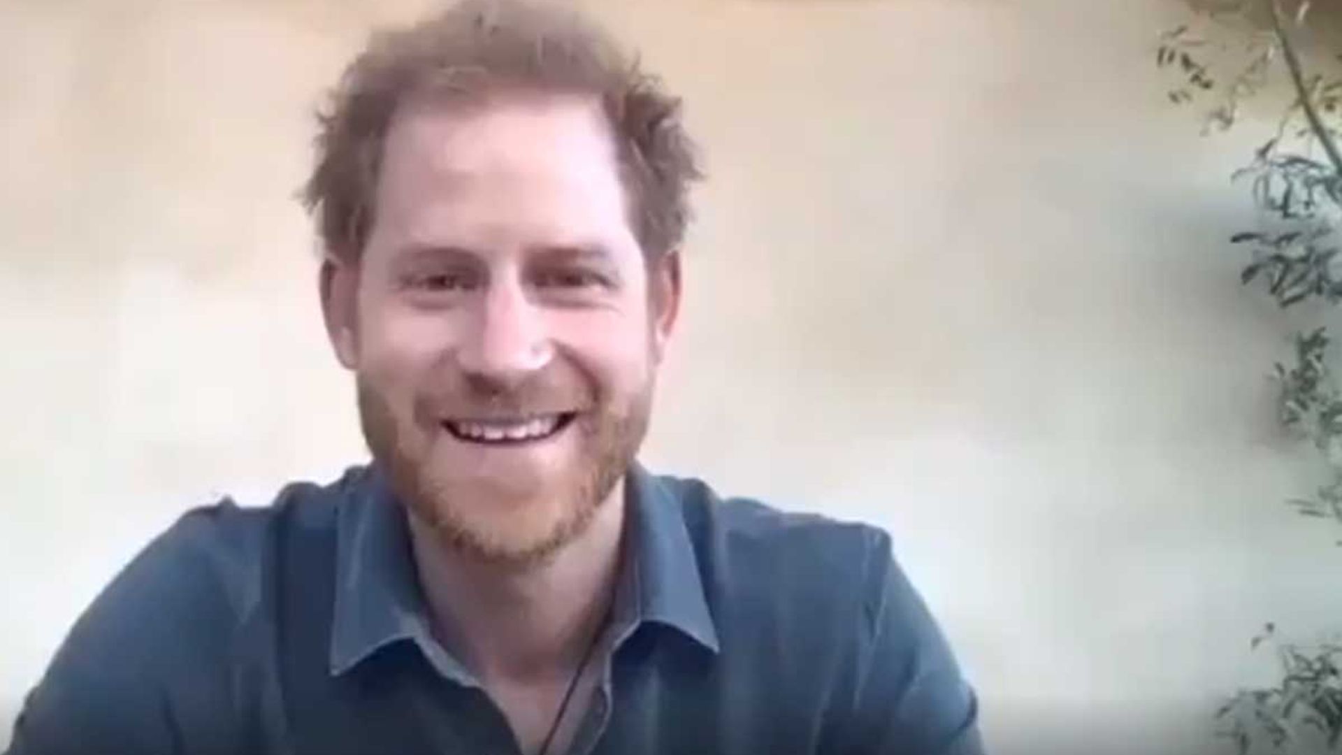 Prince Harry gives fans glimpse of Los Angeles home garden during video ...