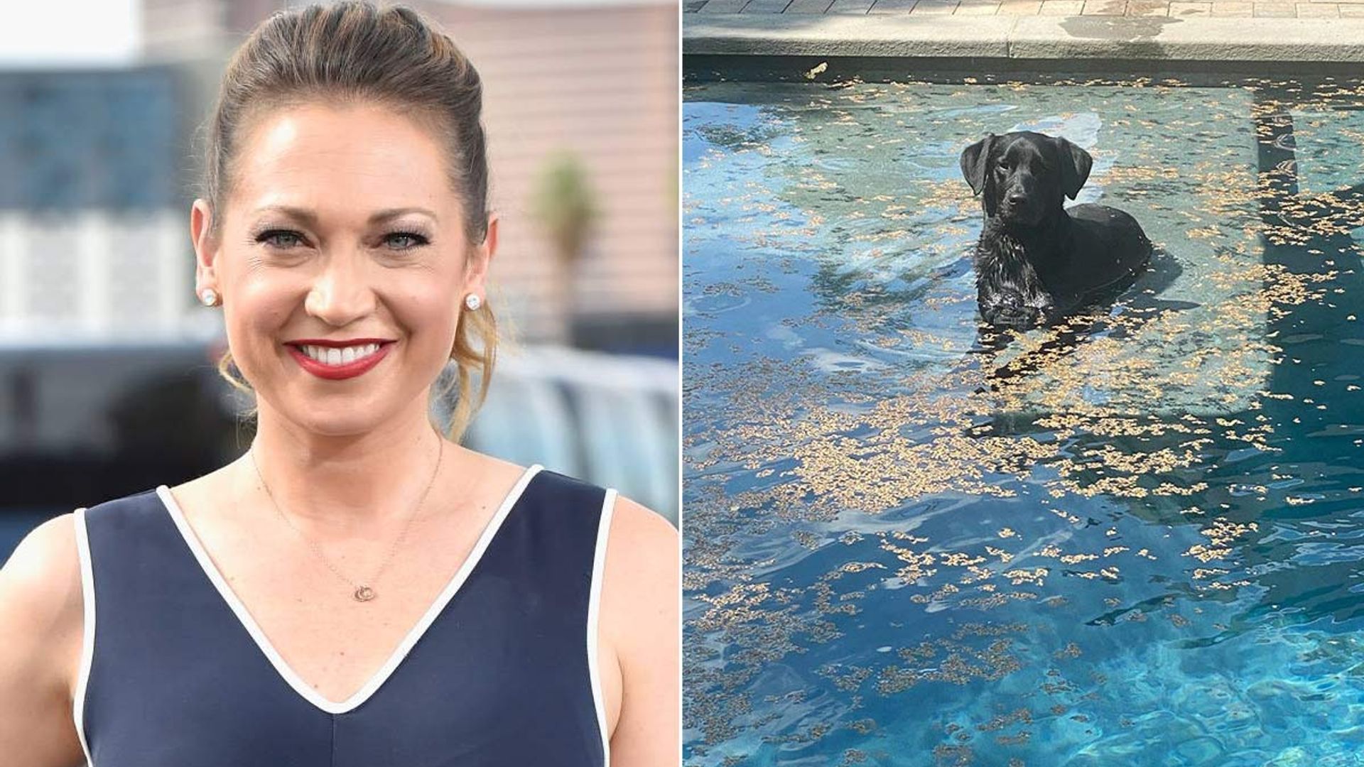 Gmas Ginger Zee Unveils Incredible Swimming Pool Fans React Hello