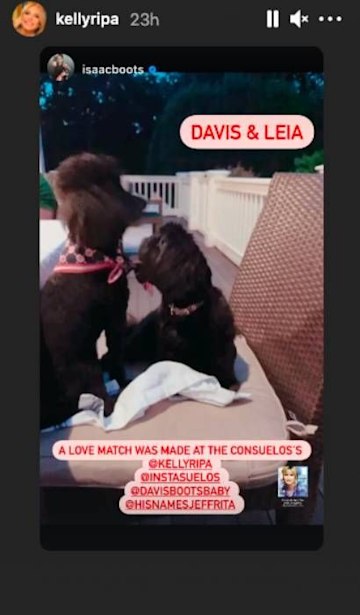 Kelly Ripa updates fans during family vacation as she shares new ...