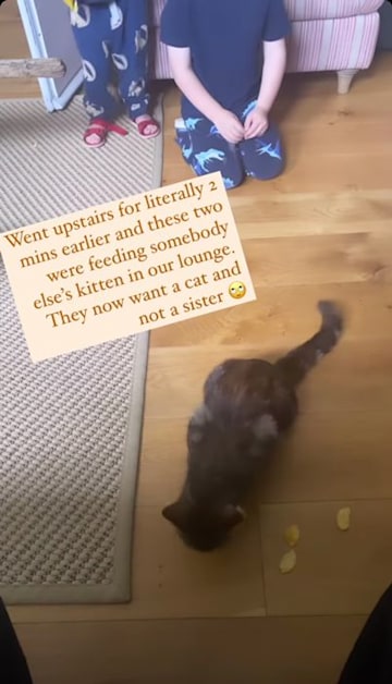 Pregnant Alex Jones reveals surprise house guest – and sons are in love ...