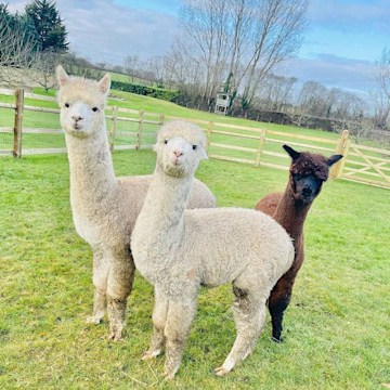 Mrs Hinch unveils incredible entrance to new home Hinch Farm | HELLO!