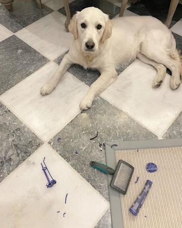 Holly Willoughby reveals major disaster at £3million home | HELLO!