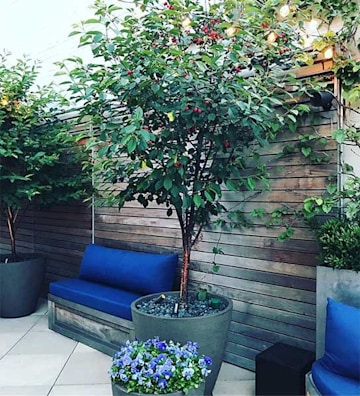 Inside Kelly Ripa and Mark Consuelos' palatial $27m New York townhouse ...