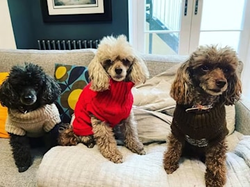 Gogglebox star Stephen Webb films never-before-seen bedroom with ...