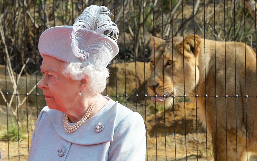 The Queen and Prince Philip open new lion enclosure at London Zoo | HELLO!