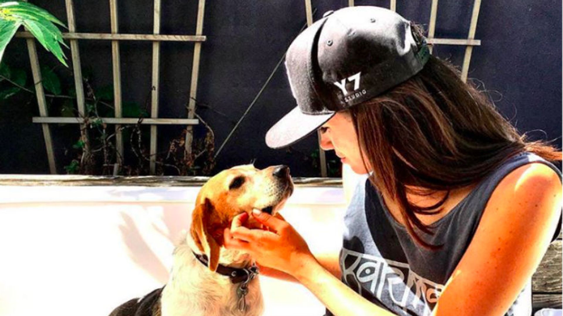 Meghan Markle separated from one of her beloved rescue dogs | HELLO!