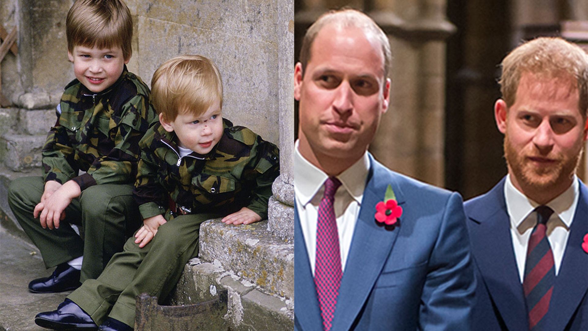 Prince Harry and Prince William's best brotherly moments amid TV show ...
