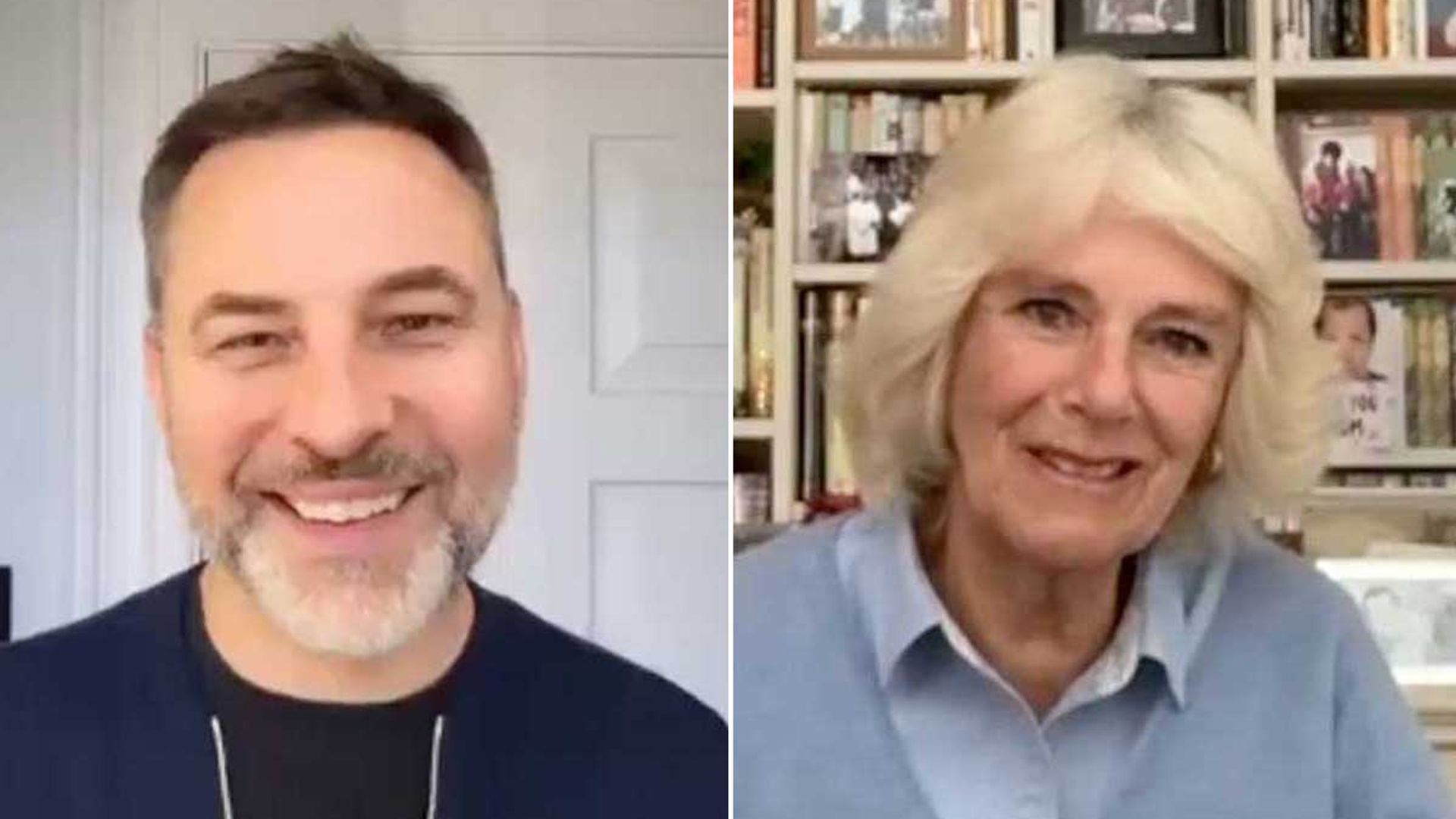 David Walliams chats to Duchess of Cornwall about his son's talent in ...