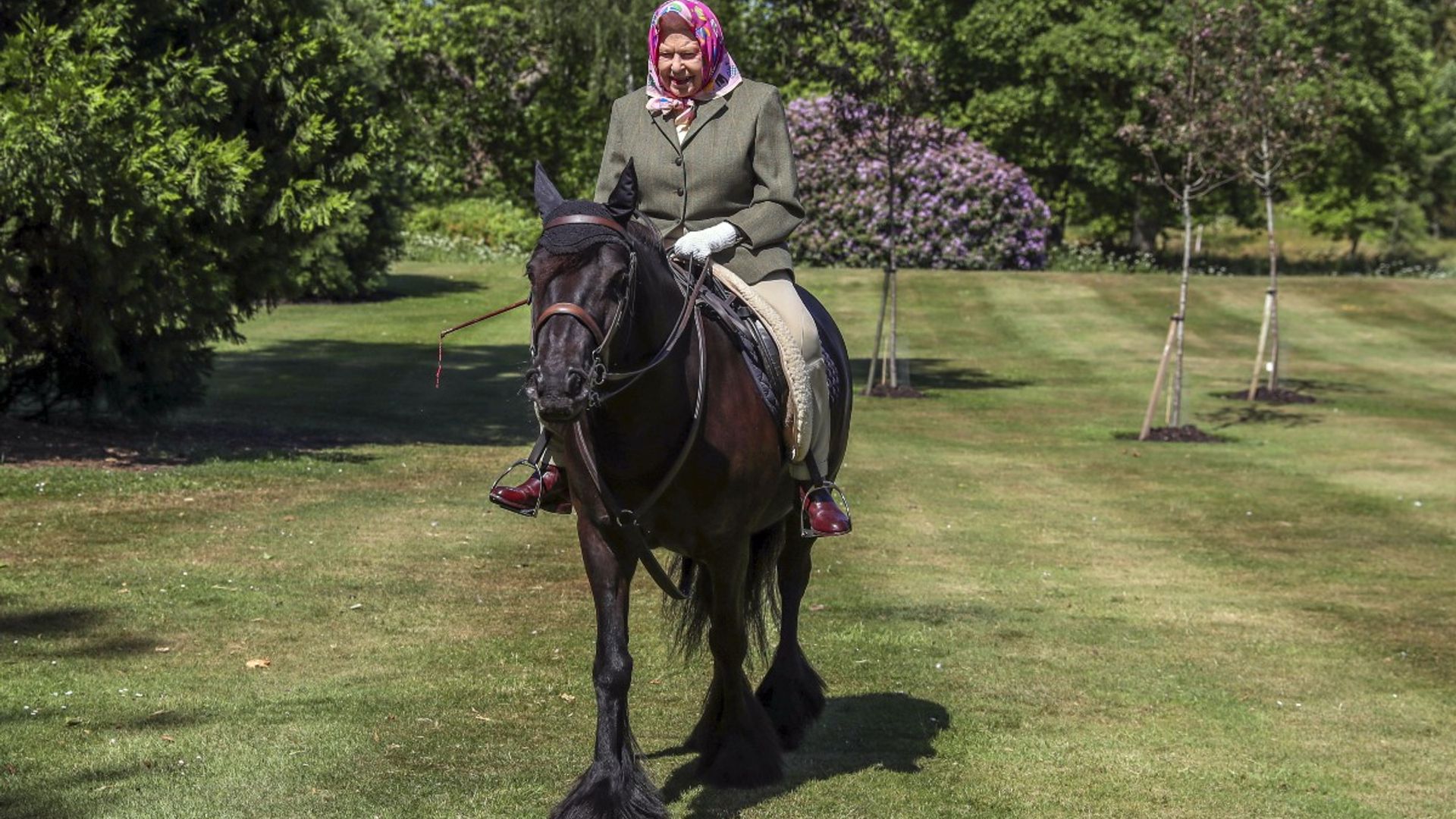 The Queen pictured horse riding at Windsor Castle in rare new lockdown ...