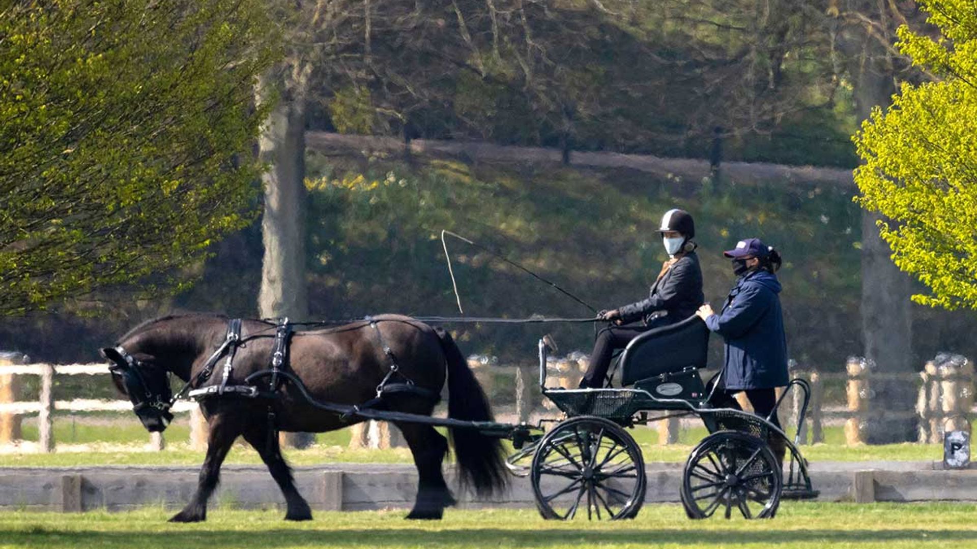 Lady Louise Windsor spotted carriage driving in Windsor as she ...
