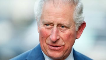 Prince Charles reveals beautiful garden in new photo in honour of his ...