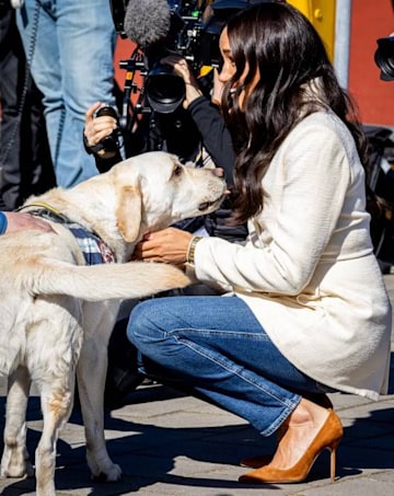Meghan Markle and Prince Harry's new dog pictured in adorable photos ...